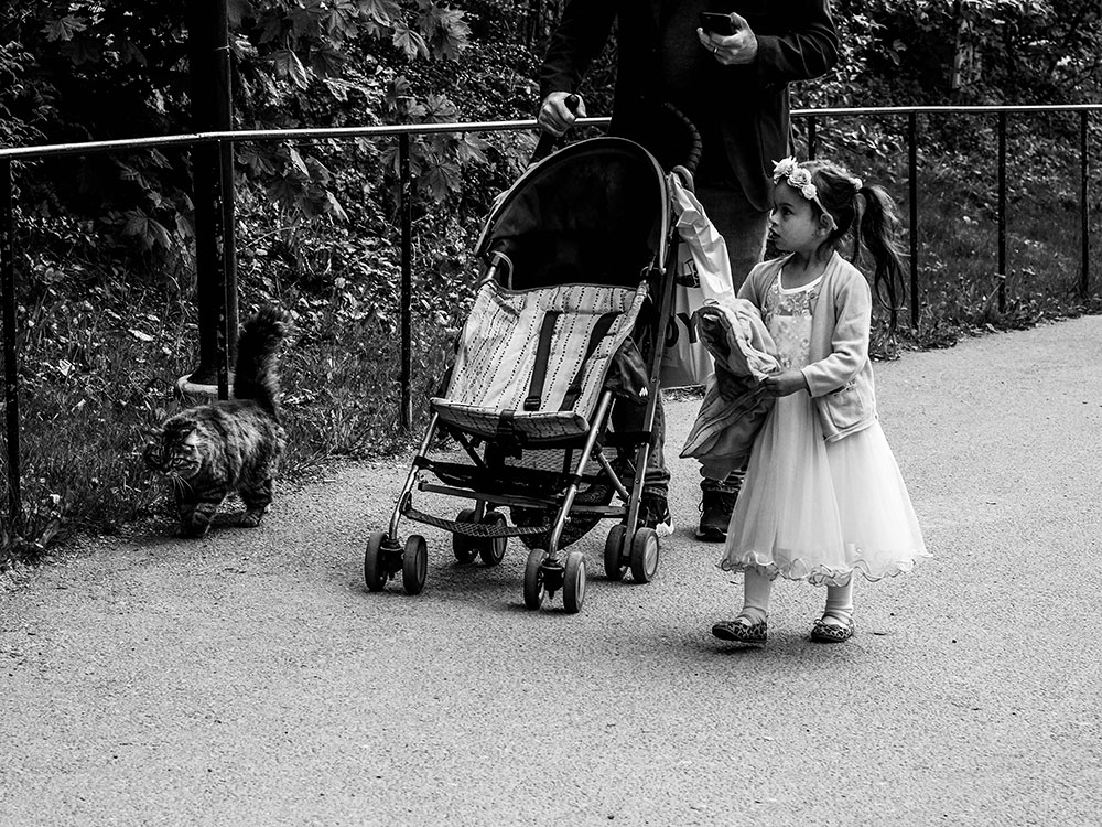 The cat and the little Princess – Fotospår
